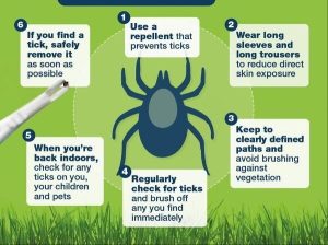 Be Tick Aware – Slapton Parish Council